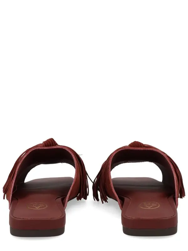Ash Brigitte Mule - Brown