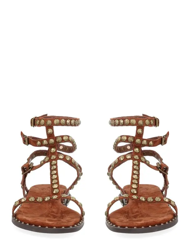 Ash Studded Gladiator Sandals - Brown