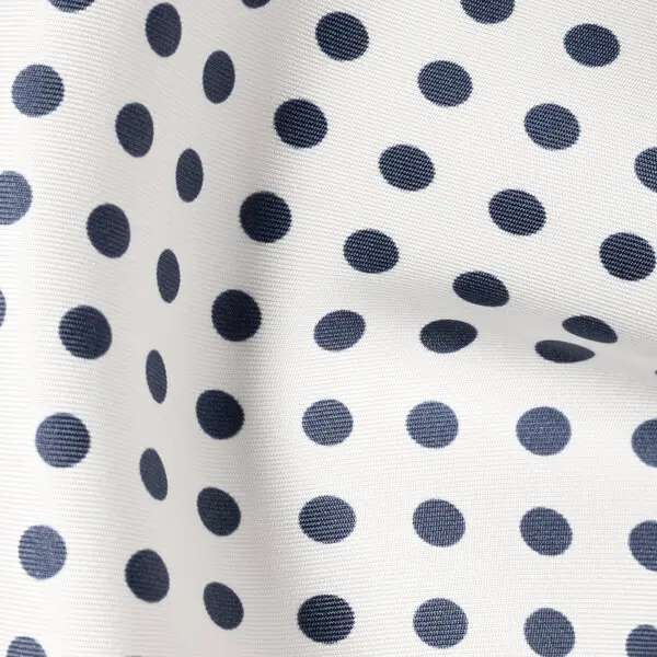 Miu Miu Printed Twill Scarf - Bianco/navy