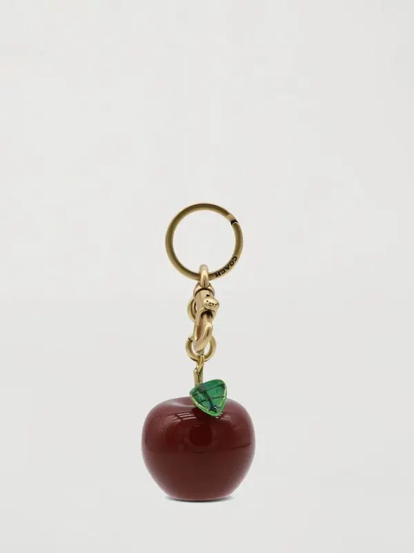 COACH Key Chain - Multicolor