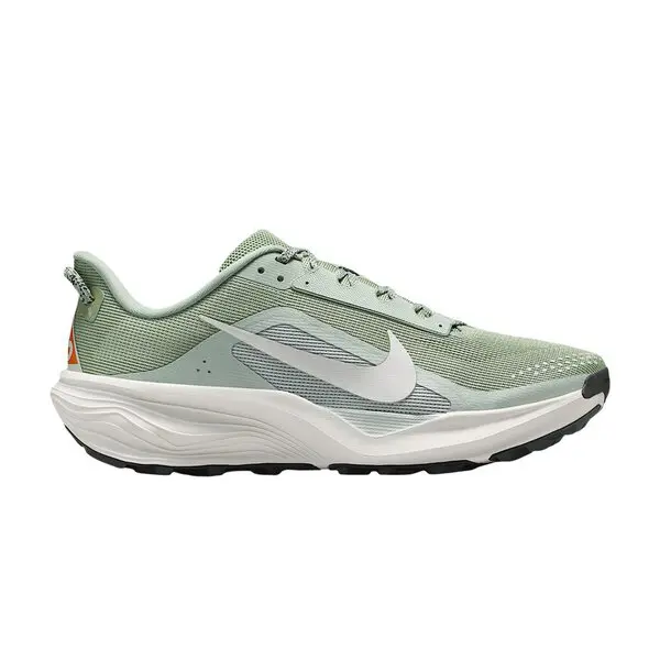 Nike Pegasus Trail