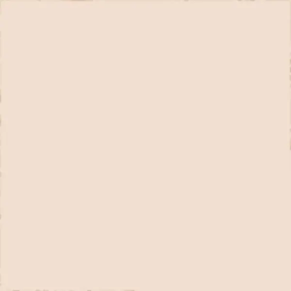 Etro Cotton Satin Kiri Cushion