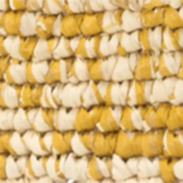 Loewe X Paula's Ibiza Crochet Bag
