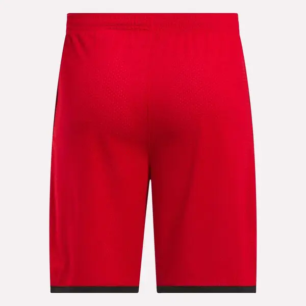 REEBOK Basketball Mesh Shorts With Vector Style