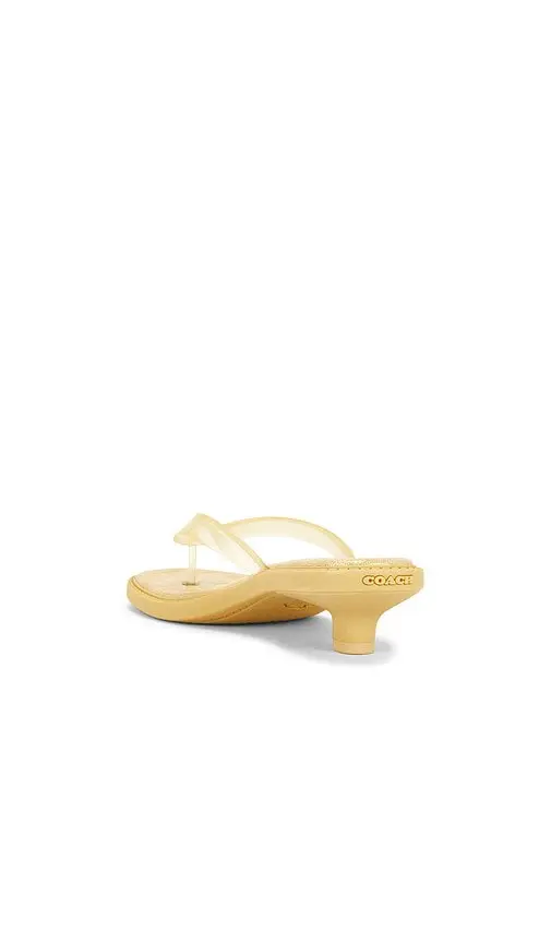 COACH Jelly Flip Flop Sandal - Vanilla
