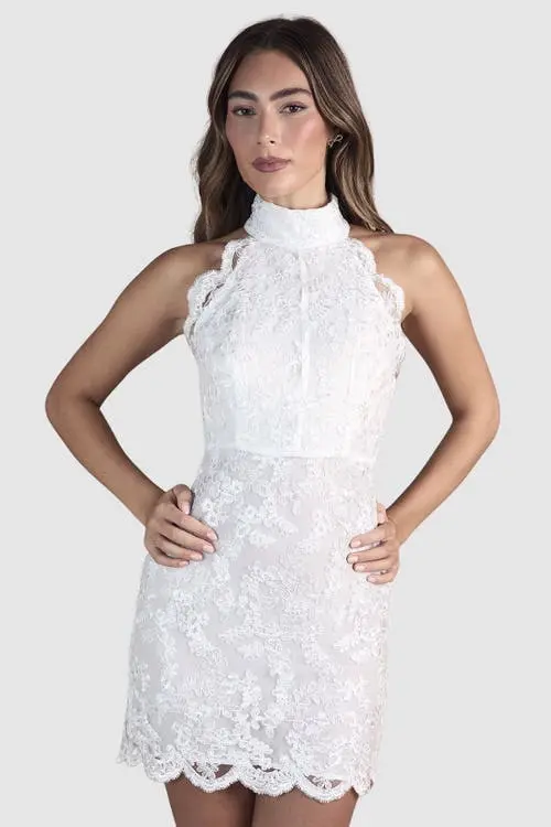 Coast High Neck Embroidered Mesh Mini Dress - Ivory