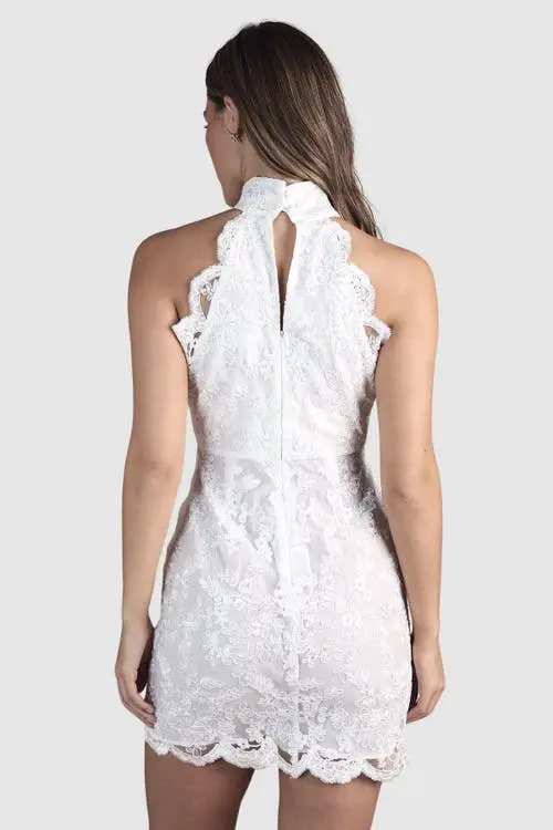 Coast High Neck Embroidered Mesh Mini Dress
