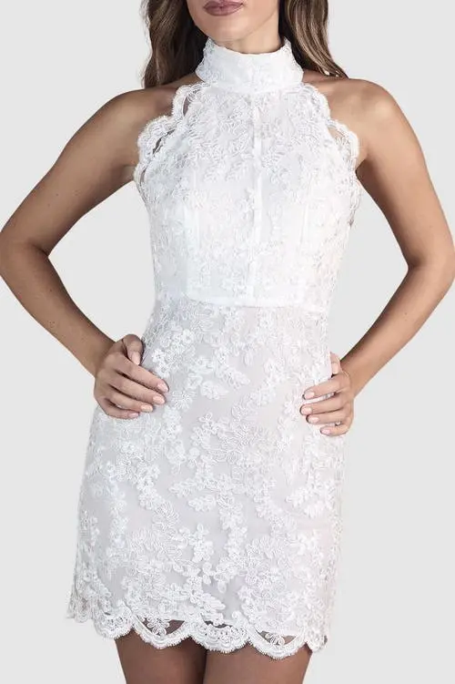 Coast High Neck Embroidered Mesh Mini Dress