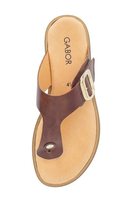 Gabor Studded Flip Flop - Camel