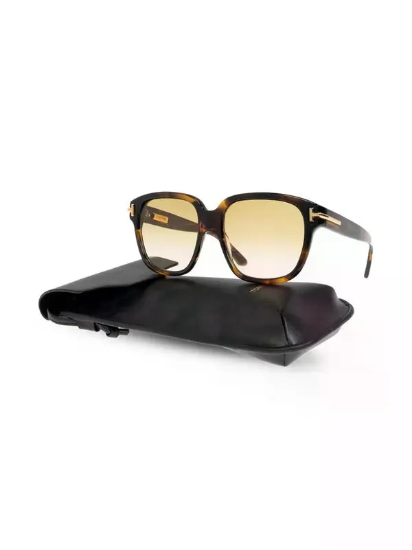 TOM FORD Icon Sunglasses - Brown