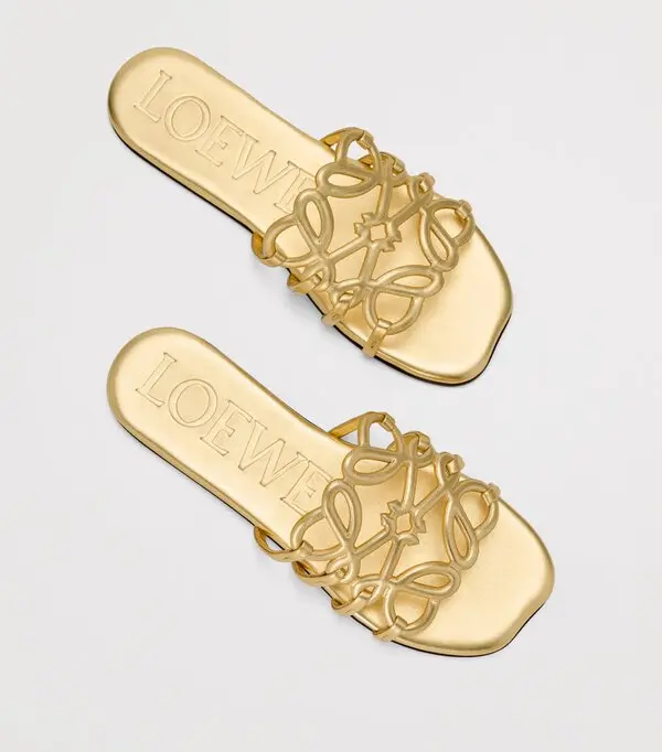 Loewe X Paula's Ibiza Leather Petal Anagram Slides - Silver