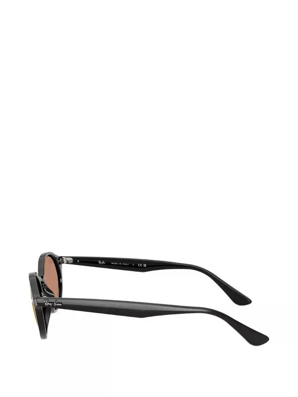 Ray-ban Oval-frame Sunglasses