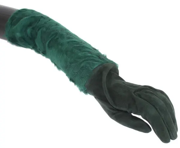 Dolce & Gabbana Elbow Gloves - Green