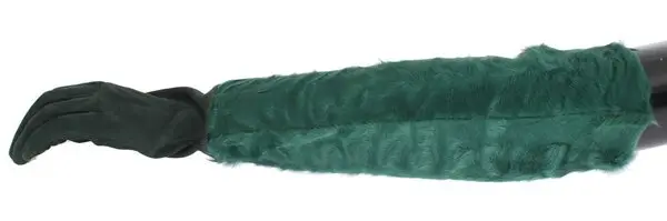 Dolce & Gabbana Elbow Gloves