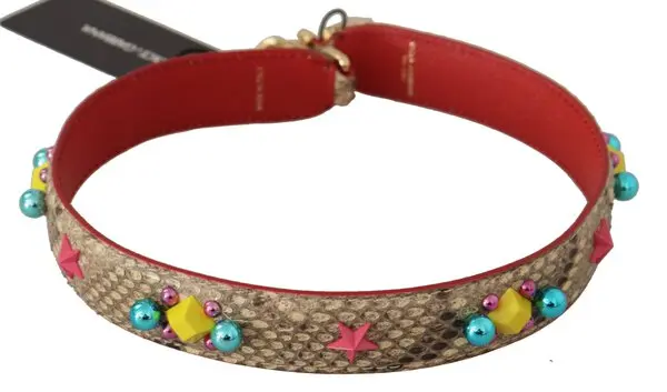 Dolce & Gabbana Python Leather Shoulder Strap With Crystals - Beige