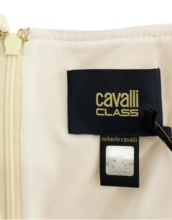 Roberto Cavalli Lace Sheath Dress