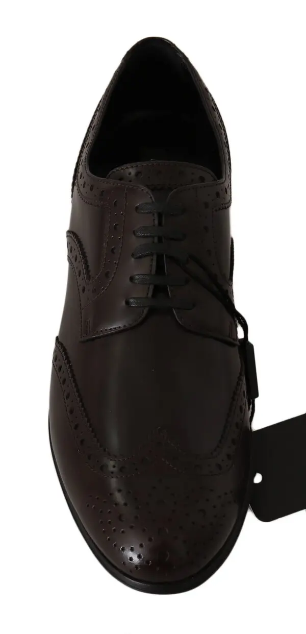 Dolce & Gabbana Leather Brogues Oxford Wingtip Shoes