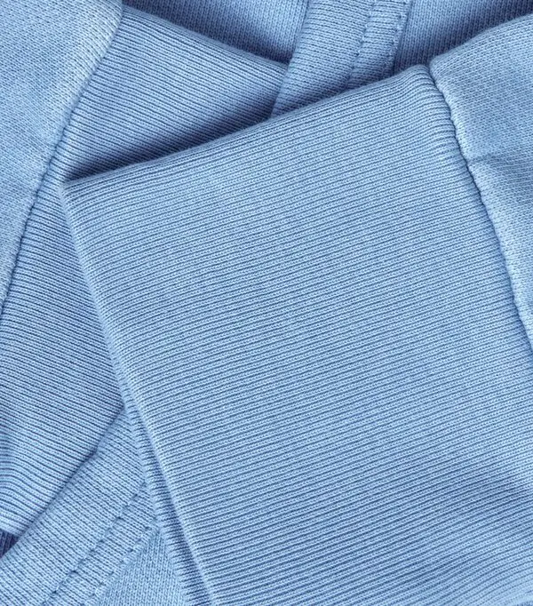 Polo Ralph Lauren Cotton Loopback Fleece Hoodie - Blue