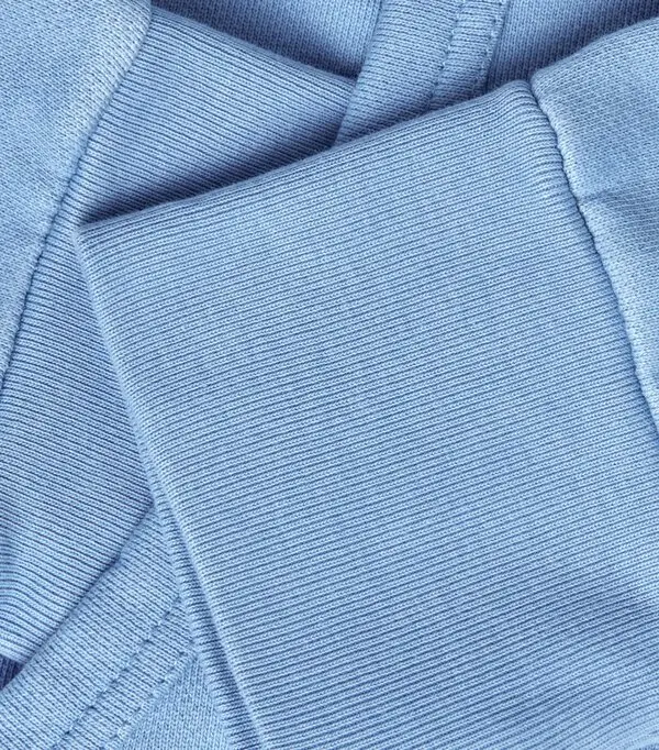 Polo Ralph Lauren Cotton Loopback Fleece Hoodie - Blue