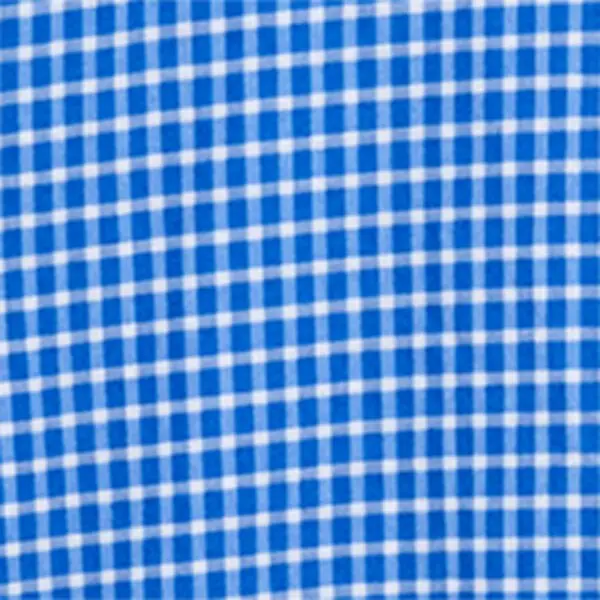 Loewe X Paula’s Ibiza Check Anagram Shirt - Blue