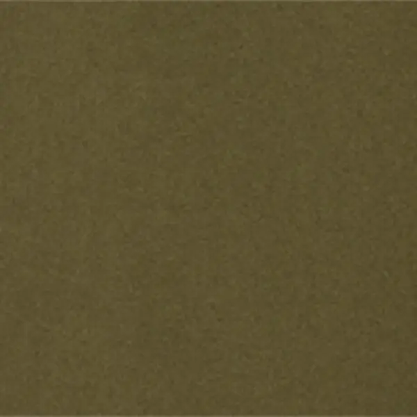 Loewe X Paula's Ibiza Cargo Shorts - Green