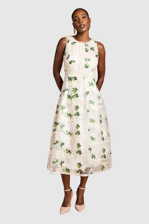 Coast Embroidered Mesh Lace Midi Dress - Blush