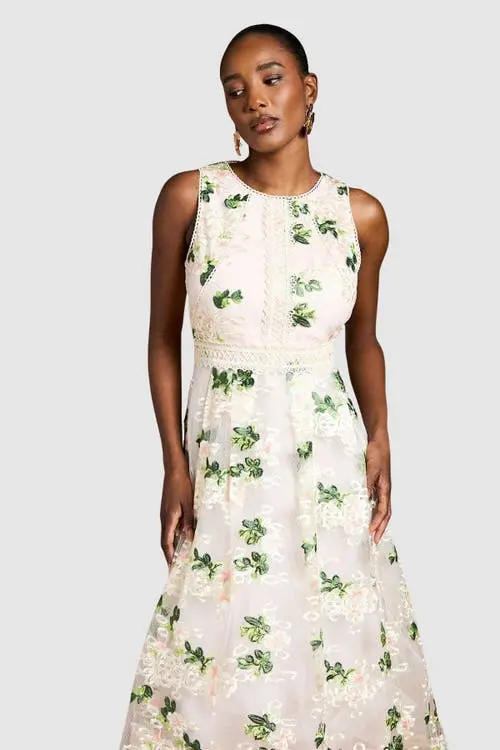 Coast Embroidered Mesh Lace Midi Dress