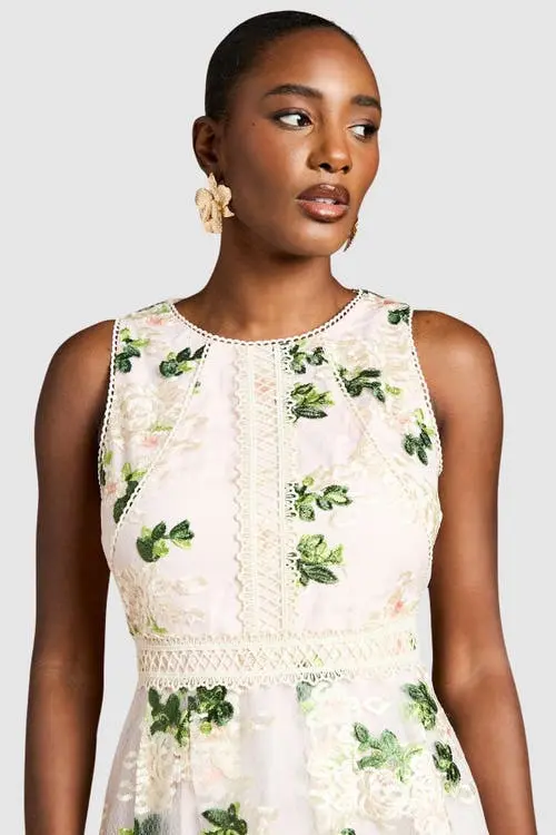 Coast Embroidered Mesh Lace Midi Dress