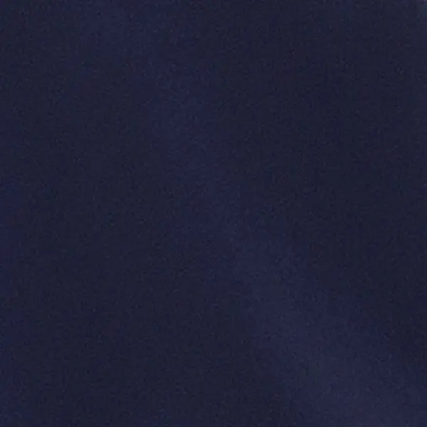 Loewe X Paula’s Ibiza Poplin Shorts