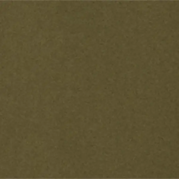 Loewe X Paula's Ibiza Cargo Shorts - Green