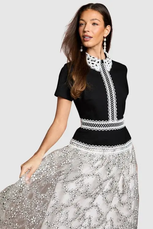 Coast Embroidered Mesh Midaxi Dress