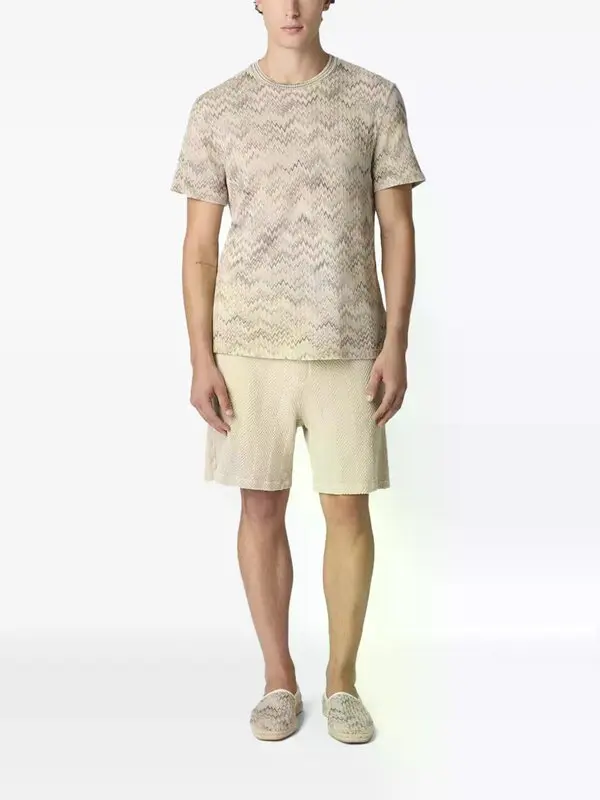 Missoni Crew-neck Cotton T-shirt With Dégradé Snake Pattern - Neutrals
