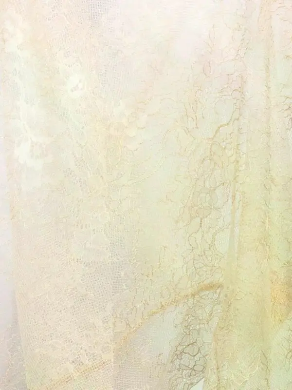 Alberta Ferretti Lace Effect Sheer Jacket