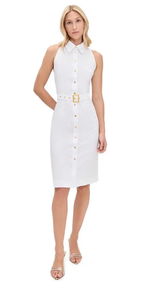 L'Agence Lisette Sleeveless Buttondown Dress