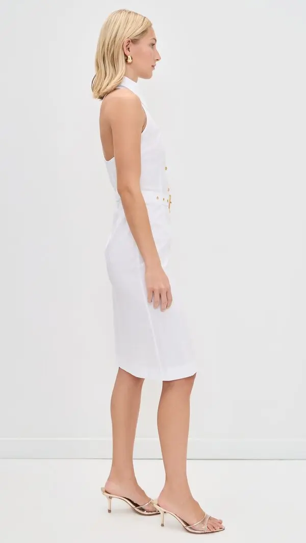 L'Agence Lisette Sleeveless Buttondown Dress
