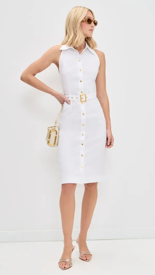 L'Agence Lisette Sleeveless Buttondown Dress