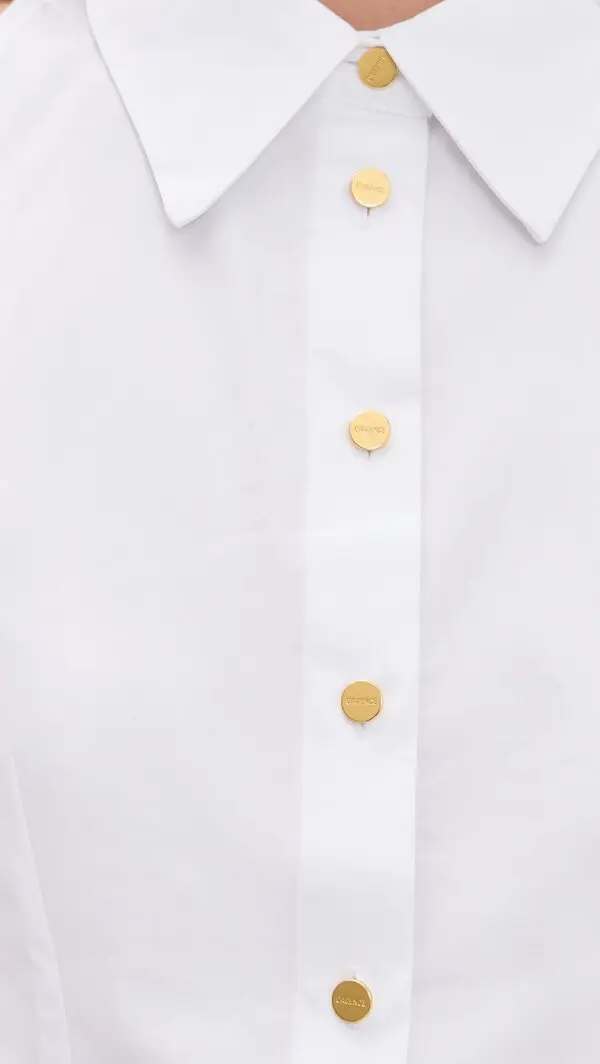 L'Agence Lisette Sleeveless Buttondown Dress