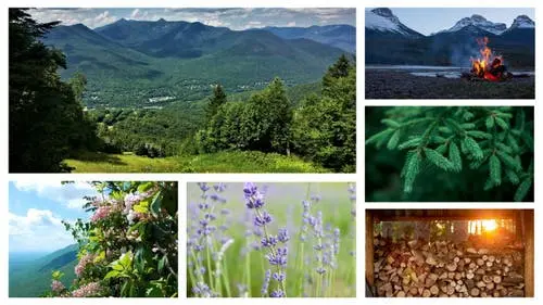 AERANGIS No. 32 Loon Mountain Scented Candle