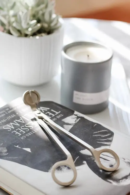 AERANGIS Stainless Steel Candle Wick Trimmer