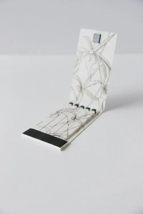 AERANGIS Collectible Hand-illustrated Long Stem Matchbooks