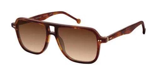 COLORS IN OPTICS Redford Sunglasses - Honey Tortoise