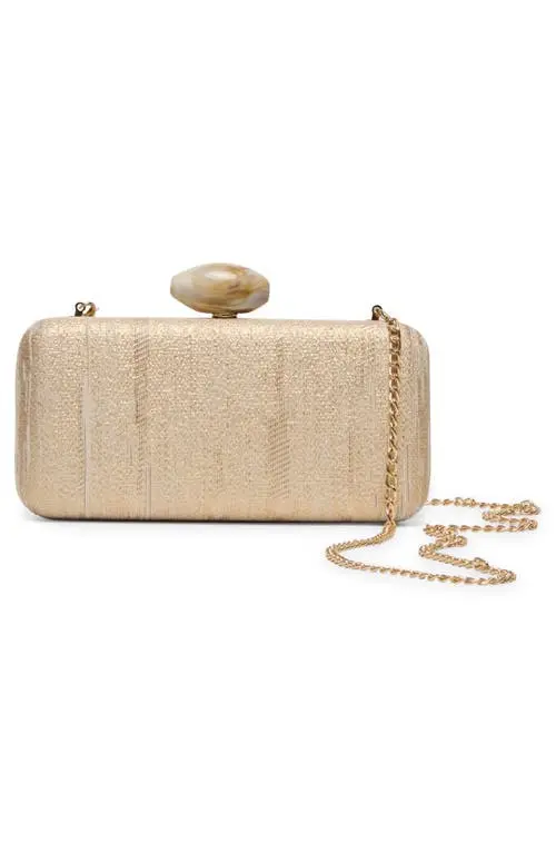 Dolce Vita Metallic Frame Clutch