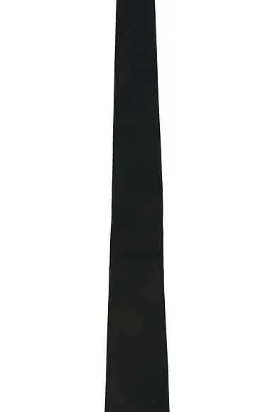Alexander McQueen Silk Skull Neck Tie
