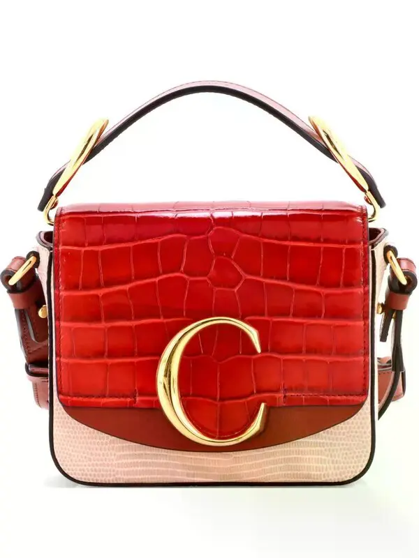 Chloé C Flap Crocodile And Lizard Embossed Leather Mini Crossbody Bag - Multicolour