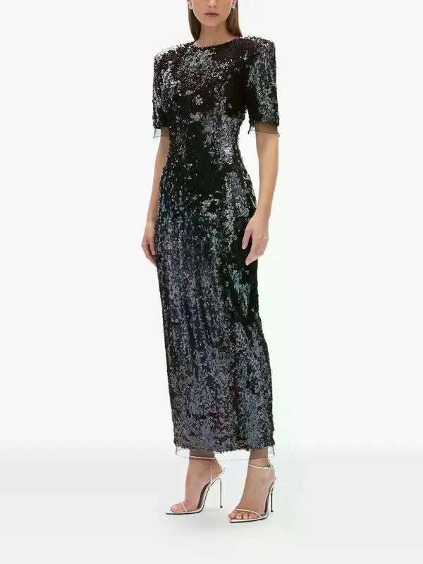 Rachel Gilbert Kaia Sequin Sleeve Dress