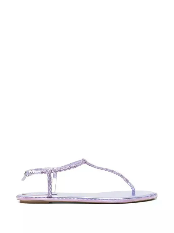 Rene Caovilla Diana Embellished Sandals - Purple