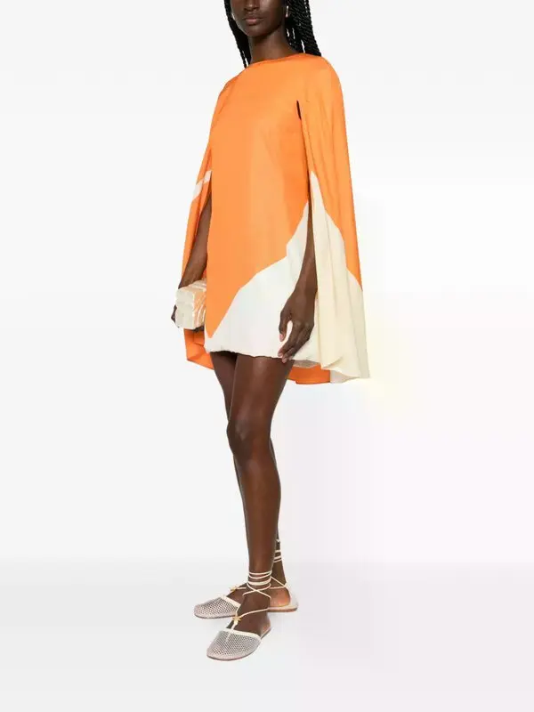 Alberta Ferretti Graphic-print Mini Dress