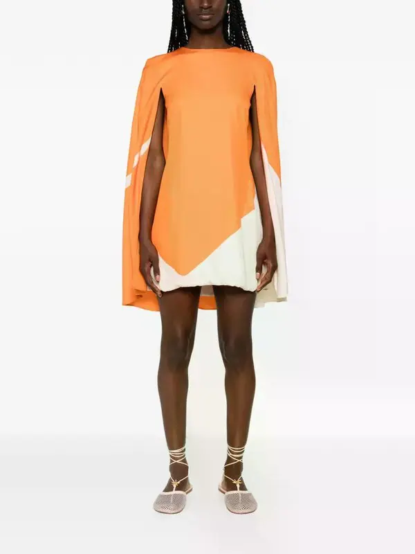 Alberta Ferretti Graphic-print Mini Dress