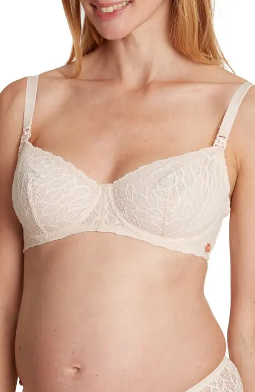 CACHE COEUR Bliss Lace Maternity/nursing Bra - Blush