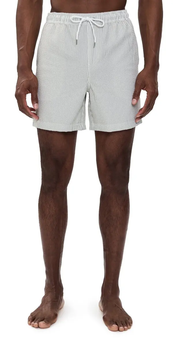 Rails La Brea Swim Shorts - Sage White Seersucker